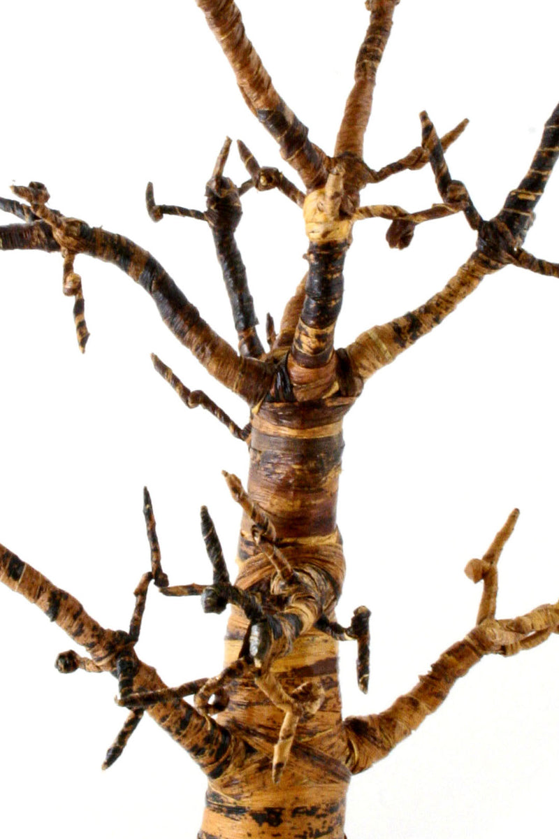 Savanna Banana Fiber Tree | (+254) 724572514