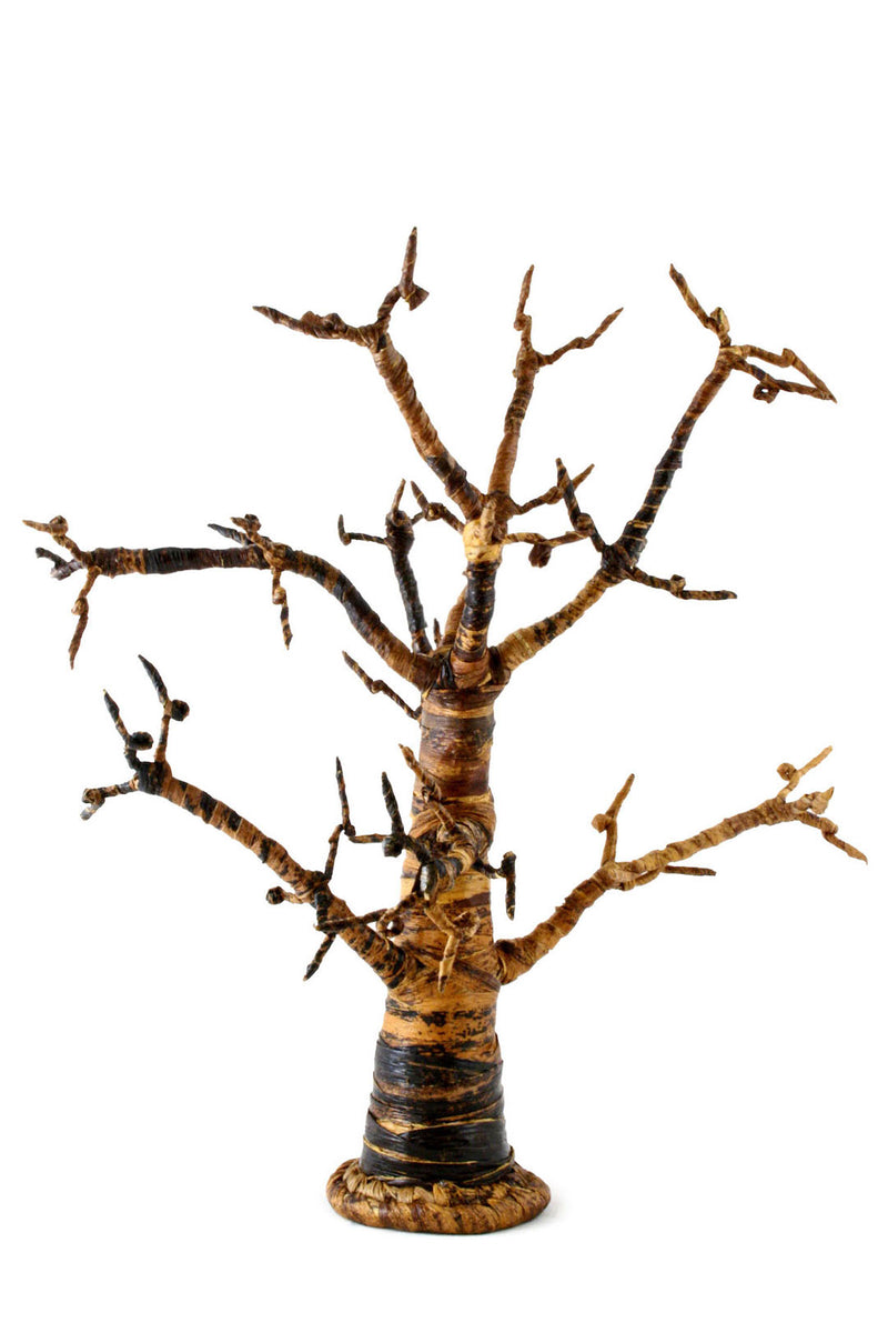 Savanna Banana Fiber Tree | (+254) 724572514